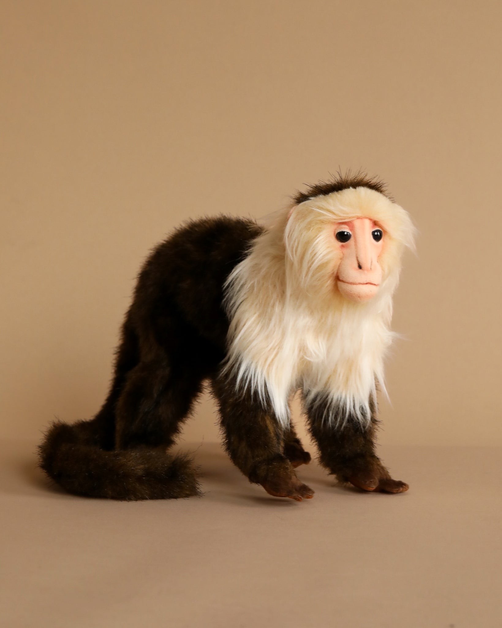 Capuchin Monkey Stuffed Animal– Odin Parker