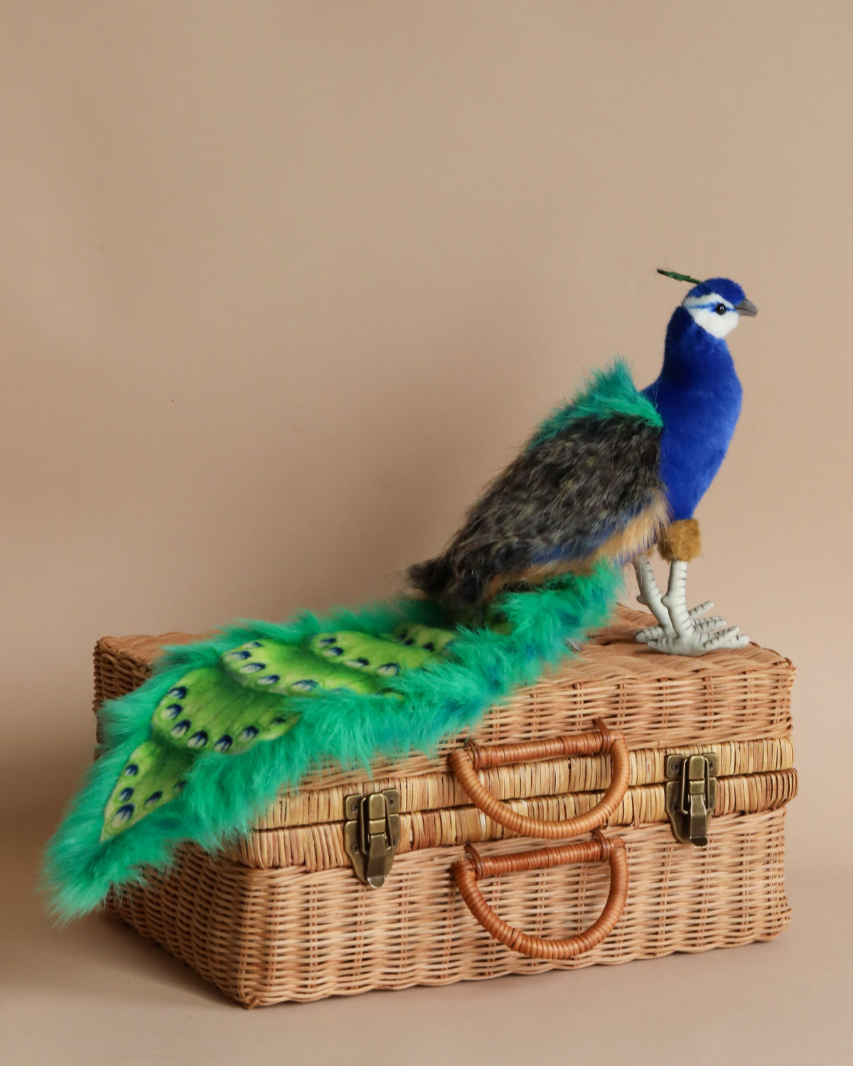 Peacock Stuffed Animal Odin Parker