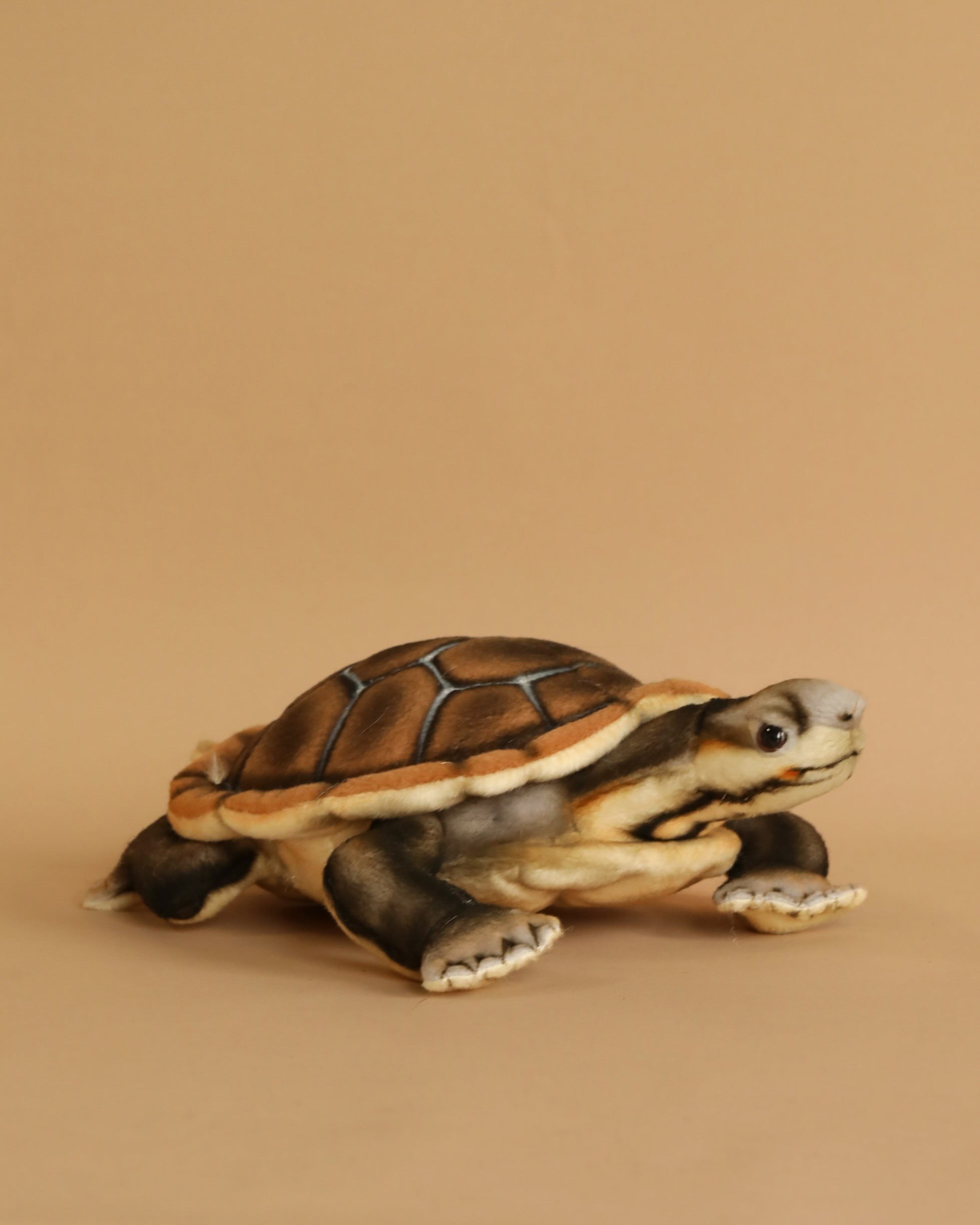 River Turtle Stuffed Animal– Odin Parker