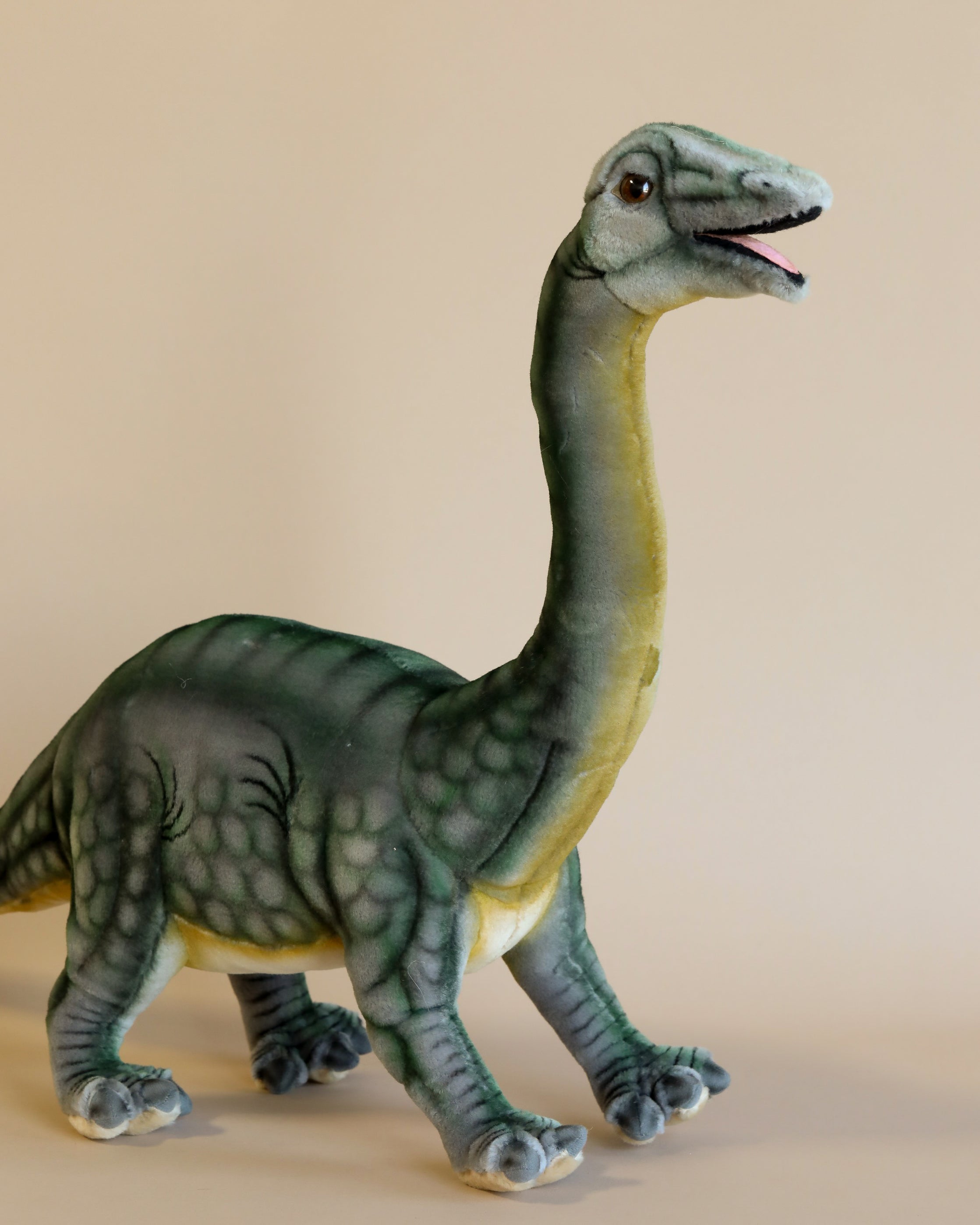 Brontosaurus Dinosaur Stuffed Animal– Odin Parker